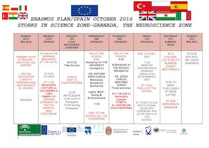 Calaméo - Erasmus Plan