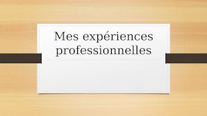 Calaméo - Mes Expériences Professionnelles