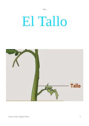 Calaméo - El Tallo