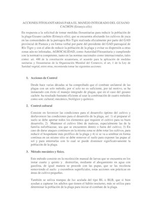 Calaméo - Medidas Fitosanitarias Gusano Cachón 1