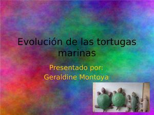 Calaméo - Evolución De Las Tortugas Marinas