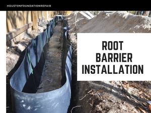 Calaméo - Root Barrier Installation