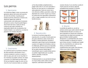 Calaméo - Ciclo De Vida De Perros Y Humanos
