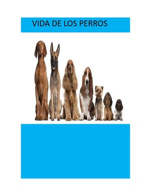 Calaméo - Vida De Los Perros