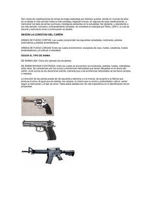 Calaméo - Armas De Fuaego