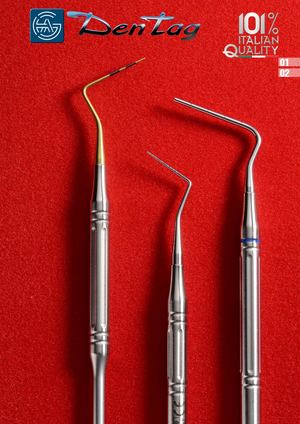 Calaméo - DenTag 01 02 Explorers Probes Root Canal Instruments