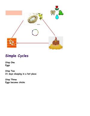 Calaméo - Simple Cycles
