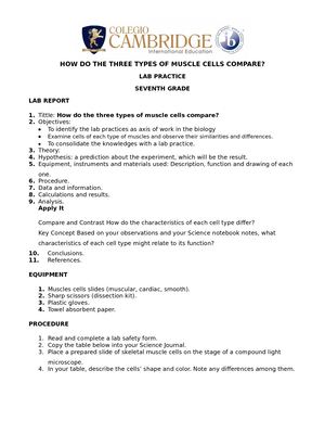 Calaméo - Three Types Of Muscles Lab Practice