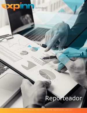 Calaméo - Manual Reporteador