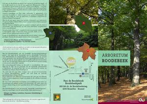Calaméo - L'arboretum du parc de Roodebeek