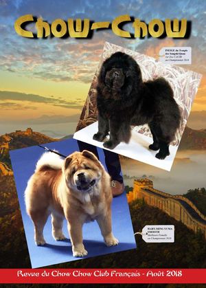 Calaméo - Bull Chow Juillet 2018 Small