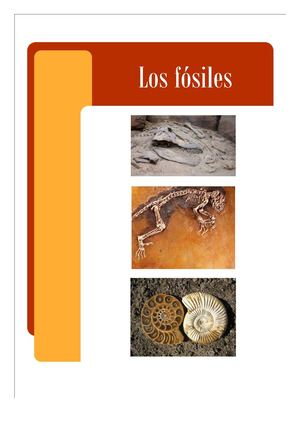 Calaméo - Los Fósiles Por 6°A