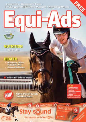 Calaméo January 2019