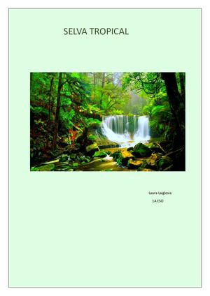 Calaméo - Selva Tropical