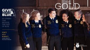Calaméo - 2018-19 Shop FFA Gold Catalog