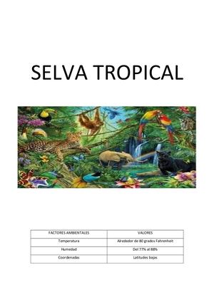 Calaméo - Selva Tropical