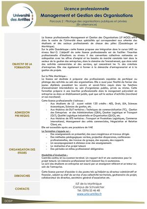 Calaméo - Fiche DOSIP Licence Pro Management Et Gestion Des Organisations 1