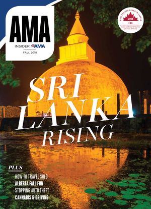 Calaméo - AMA INSIDER FALL 2018/Version 2