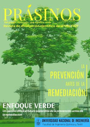 Calaméo - ENFOQUE VERDE: Un camino difícil al futuro sostenible de la ...