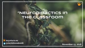 Calaméo - Introduction Neurodidactics Valdepeñas