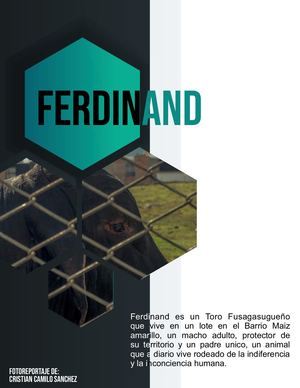 Calaméo - Ferdinand