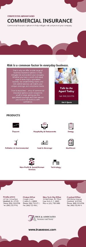 Calaméo - Commercial Insurance In Nj & Ny - True&associates Infographic