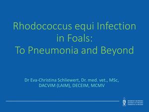 Calaméo - A Review On Rhodococcus Equi Infection In Foals: Etiology ...