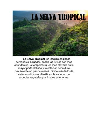 Calaméo - La selva tropical