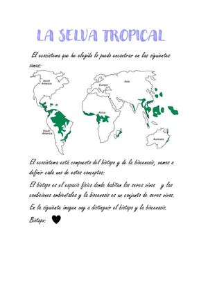 Calaméo - La Selva Tropical