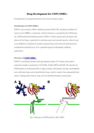 Calaméo - Drug Development For Cd59 (Mirl)