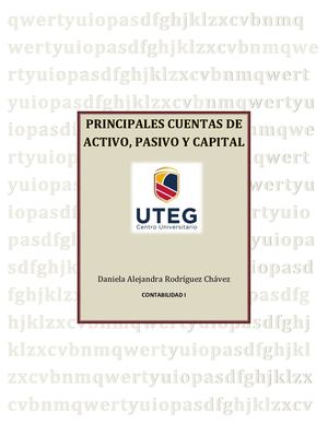 Calaméo - Principales Cuentas De Activo