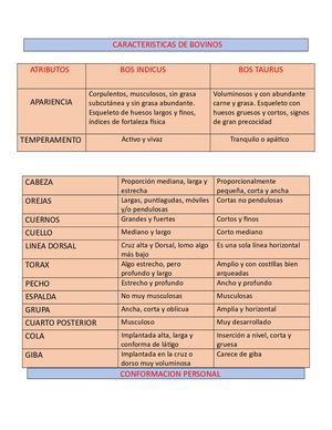 Calaméo - Yulieth Rodriguez