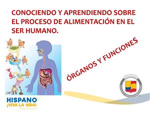 Calaméo - PROCESO DE ALIMENTACIÓN EN EL SER HUMANO