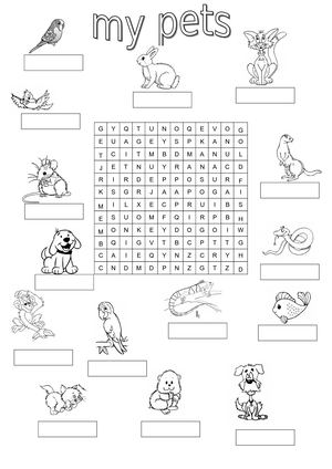 Calaméo - Vocabulary Pets Wordsearch