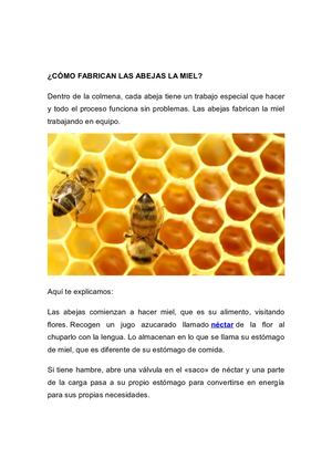 Calaméo - Cómo Fabrican Las Abejas La Miel