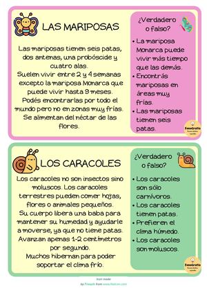 Calaméo - Comprensión Lectora_ Insectos