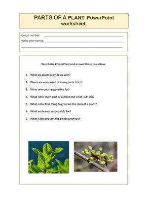 Calaméo - Parts of A Plant Power Point Worksheet