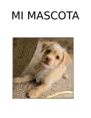 Calaméo - Mi Mascota