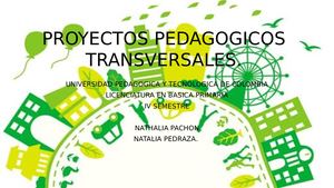 Calaméo - Proyectos Pedagogicos Transversales 2