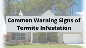 Calaméo - Common Warning Signs Of Termite Infestation