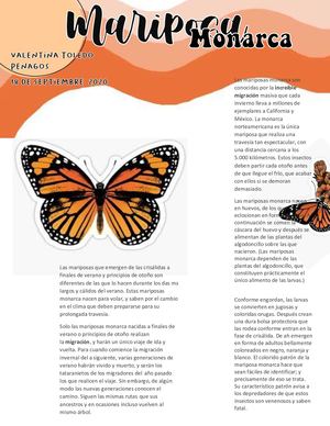 Calaméo - Mariposa Monarca