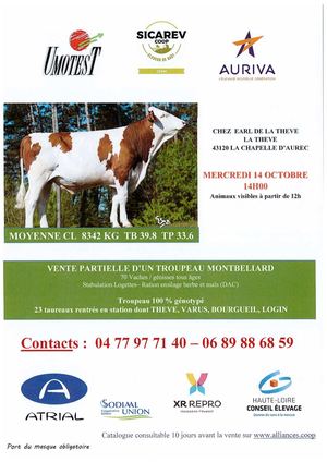 Calaméo - Catalogue Vente Elevage Montbeliard Earl De La Theve 14 ...