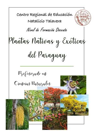 Calaméo - Plantas Nativas Y Exóticas Del Paraguay Botánica