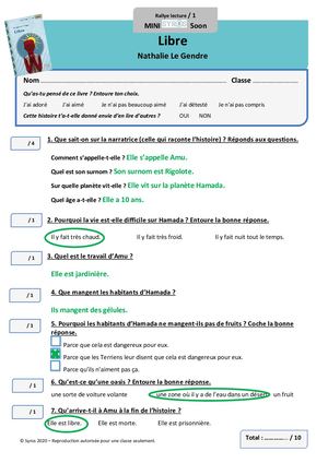 Calaméo - Fiches Rallye Lecture Corrigées Libre Niveaux 1 & 2