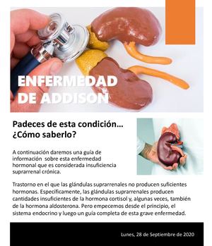 Calaméo - Enfermedad de Addison.