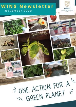 Calaméo - Wins Newsletter November