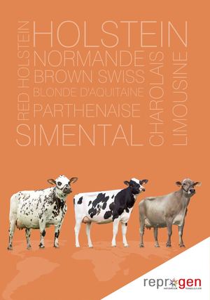 Calaméo - Reprogen Katalog 2020