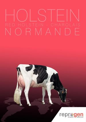 Calaméo - Reprogen Katalog 2019/1