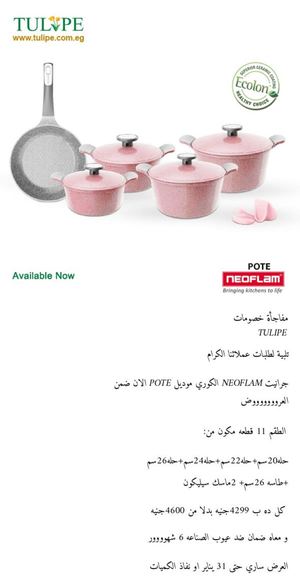 Calaméo - Tsawq Net Tulipe Egypt 11 1 2021