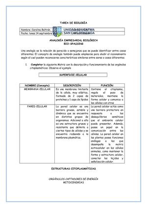 Calaméo - Matriz Bio Spalding Beltrán Carolina 1bguc Biología